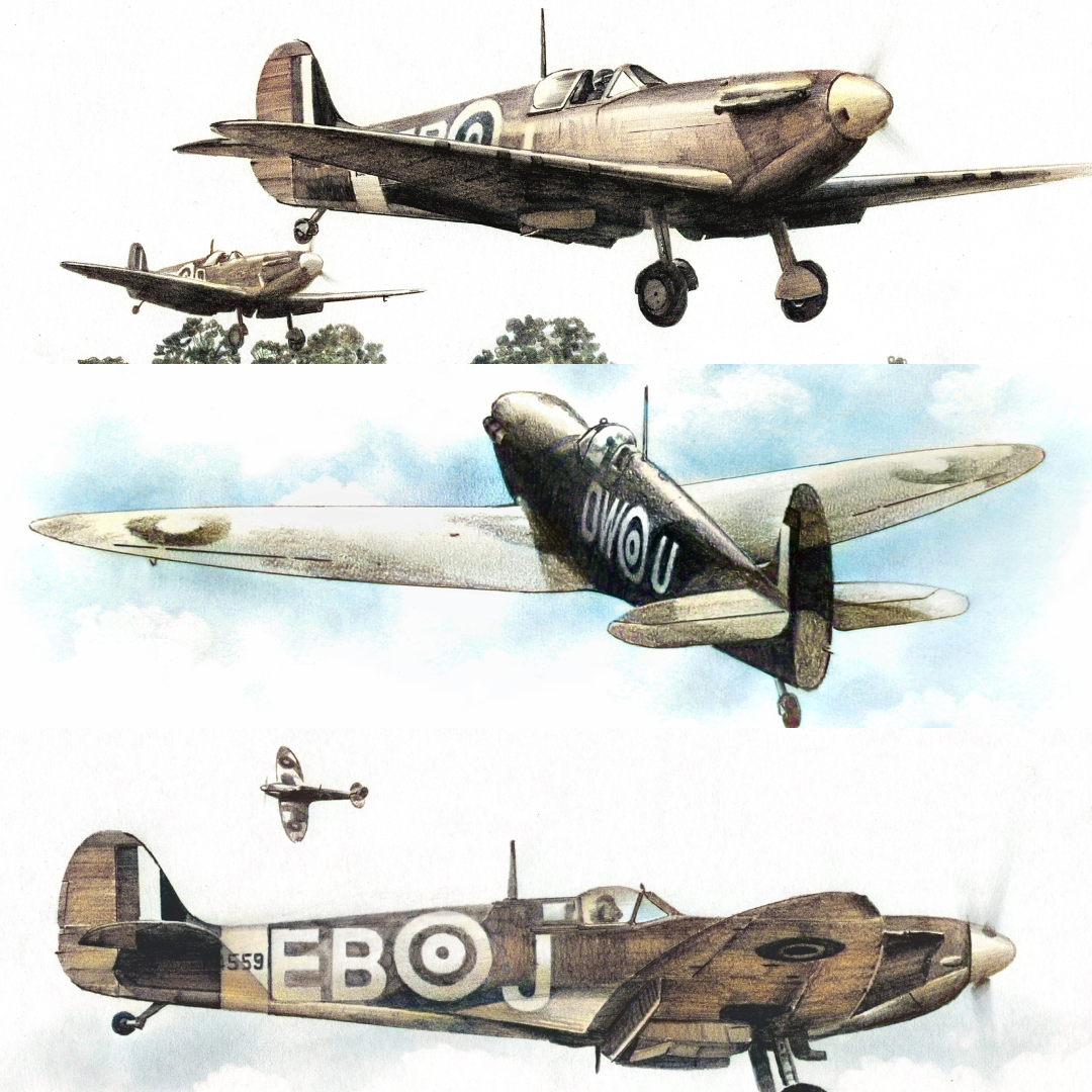 Set of 3 Ivan Berryman Spitfire Postcards (New November 2024) [Multipa ...