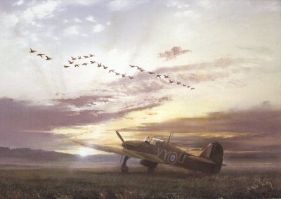 The Fly Past by Robin Smith. [print] – Military Aviation Art Prints