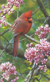 Spark of Ruby by Carl Brenders [print] – Military Aviation Art Prints